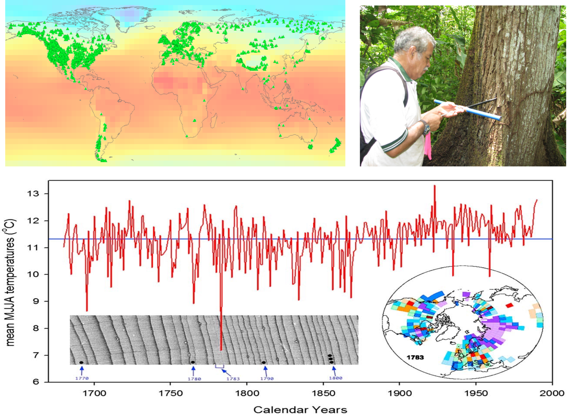 What is the fate of forests on a warming planet? Assessing climate ...