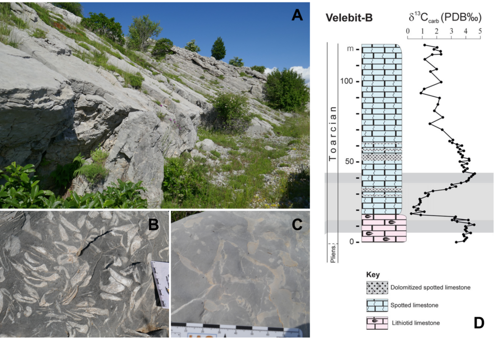 The environmental record of an early Jurassic carbonate platform - NERC ...